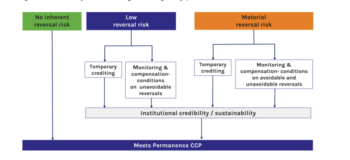 Decoding Verra, Gold Standard responses to ICVCM